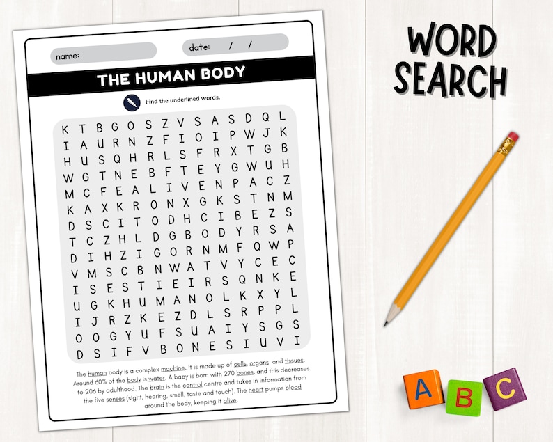 Human Body Organs Worksheets | Human Body Anatomy for Kids | Printable ...