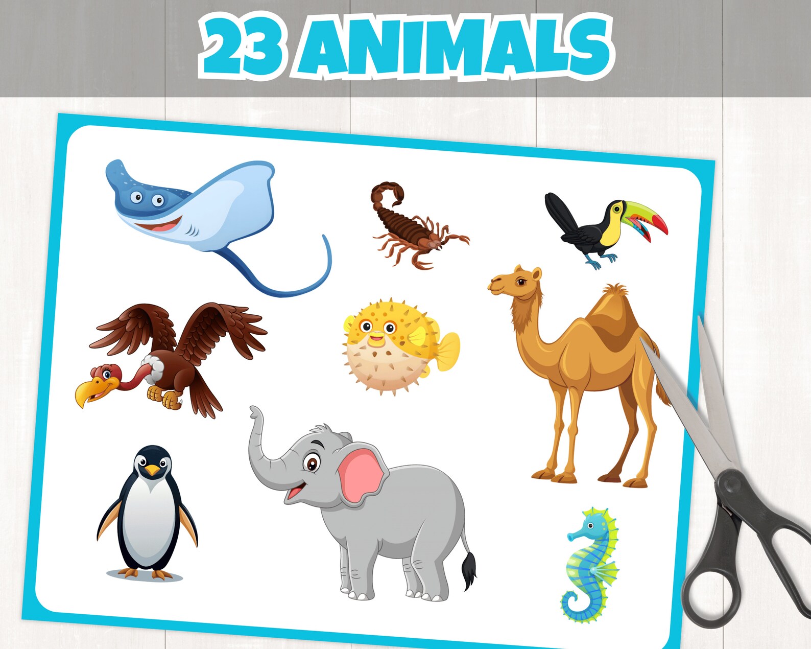 Animal Habitats Matching Activity | Animals and Their Habitats Matching ...
