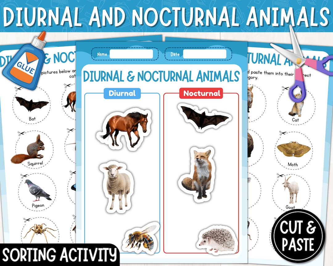 Nocturnal and Diurnal Animals Sorting Activity | Printable | Real ...