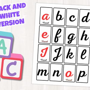 Cursive Moveable Alphabet Cards: Uppercase & Lowercase Letters ...