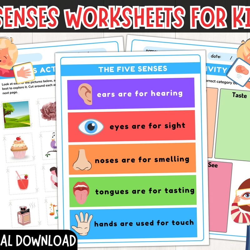 Five Senses Preschool - Etsy