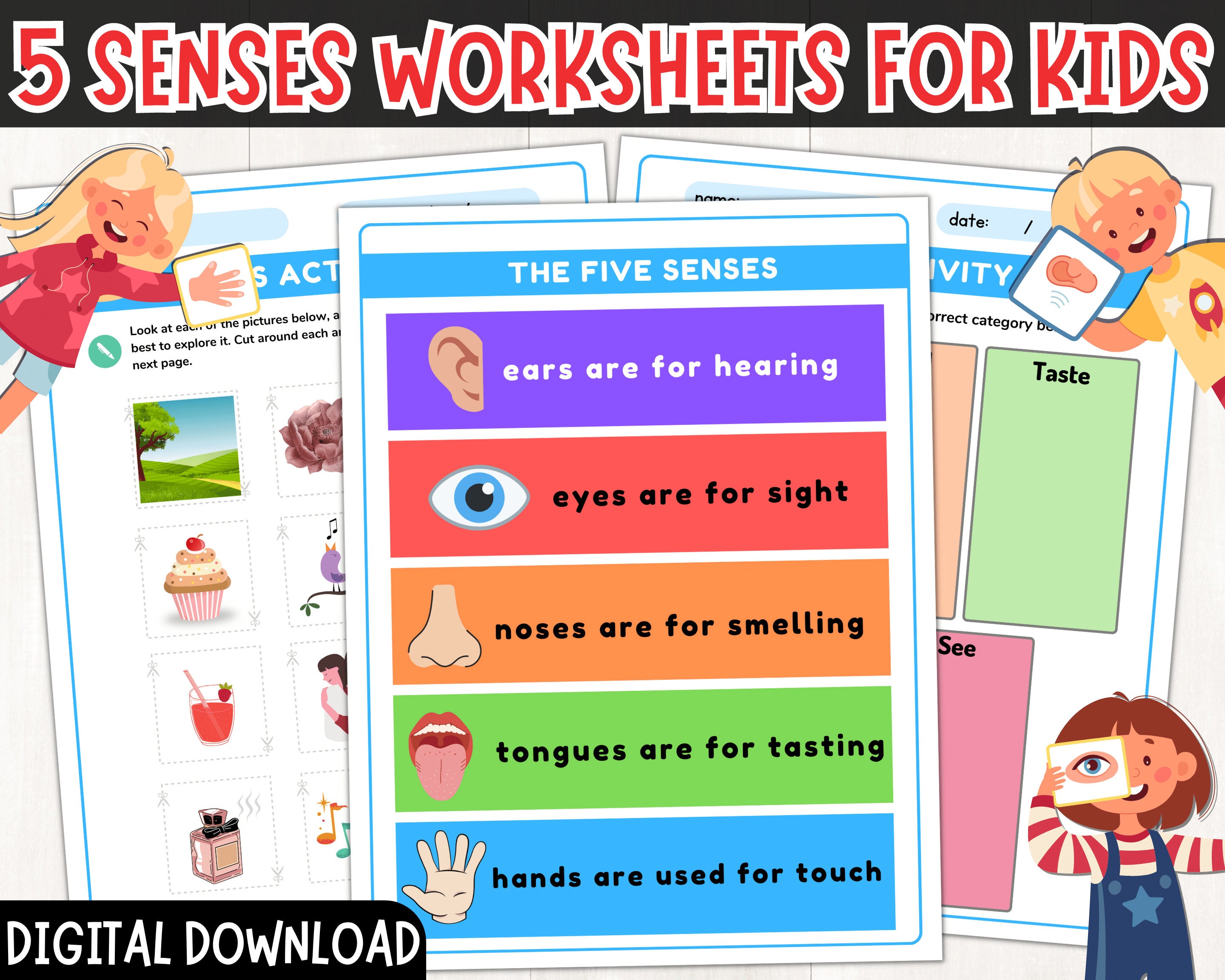 5 Senses Worksheets For Kindergarten Five Senses Worksheets 15