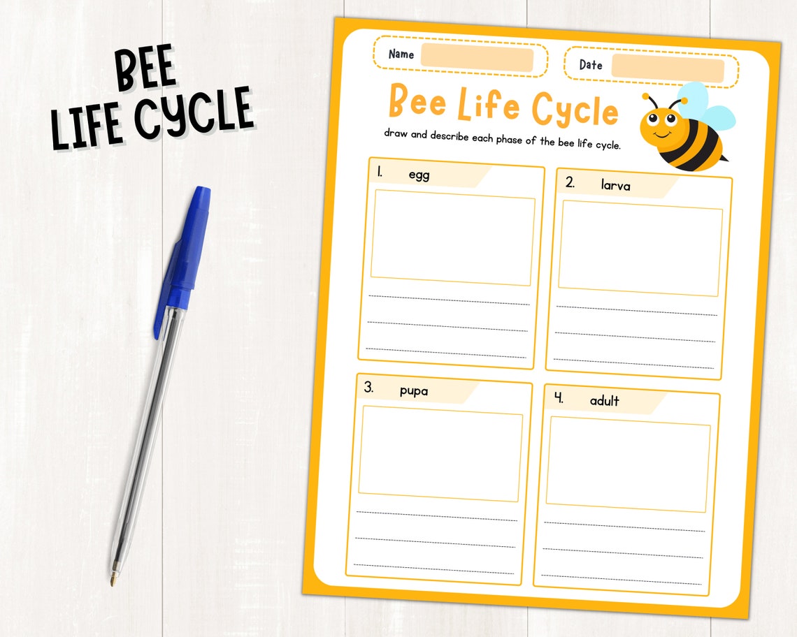 Printable Animal Life Cycle Research Project Templates, Animal Research ...
