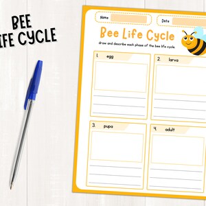 Printable Animal Life Cycle Research Project Templates, Animal Research ...