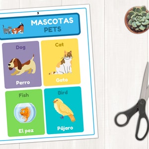 My First 100 Spanish Words | Printable Spanish-english Picture ...
