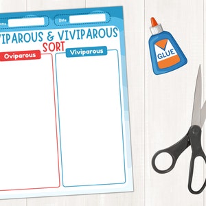 Oviparous and Viviparous Animal Sorting Activity | Real Pictures | Cut ...