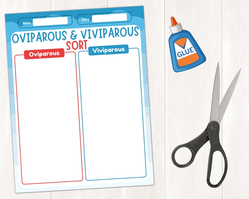 Oviparous and Viviparous Animal Sorting Activity | Real Pictures | Cut ...