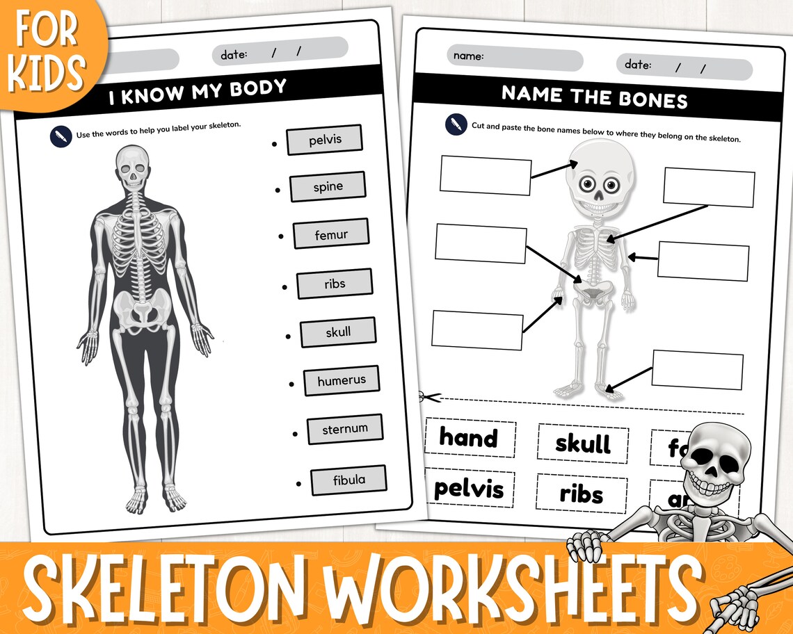 Printable Human Skeleton Labelling Worksheets Label the Bones Activity ...