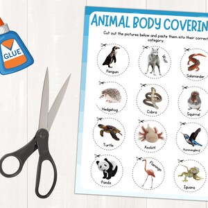 Animal Body Coverings Sorting Activity | Scales, Feathers, Fur, and ...