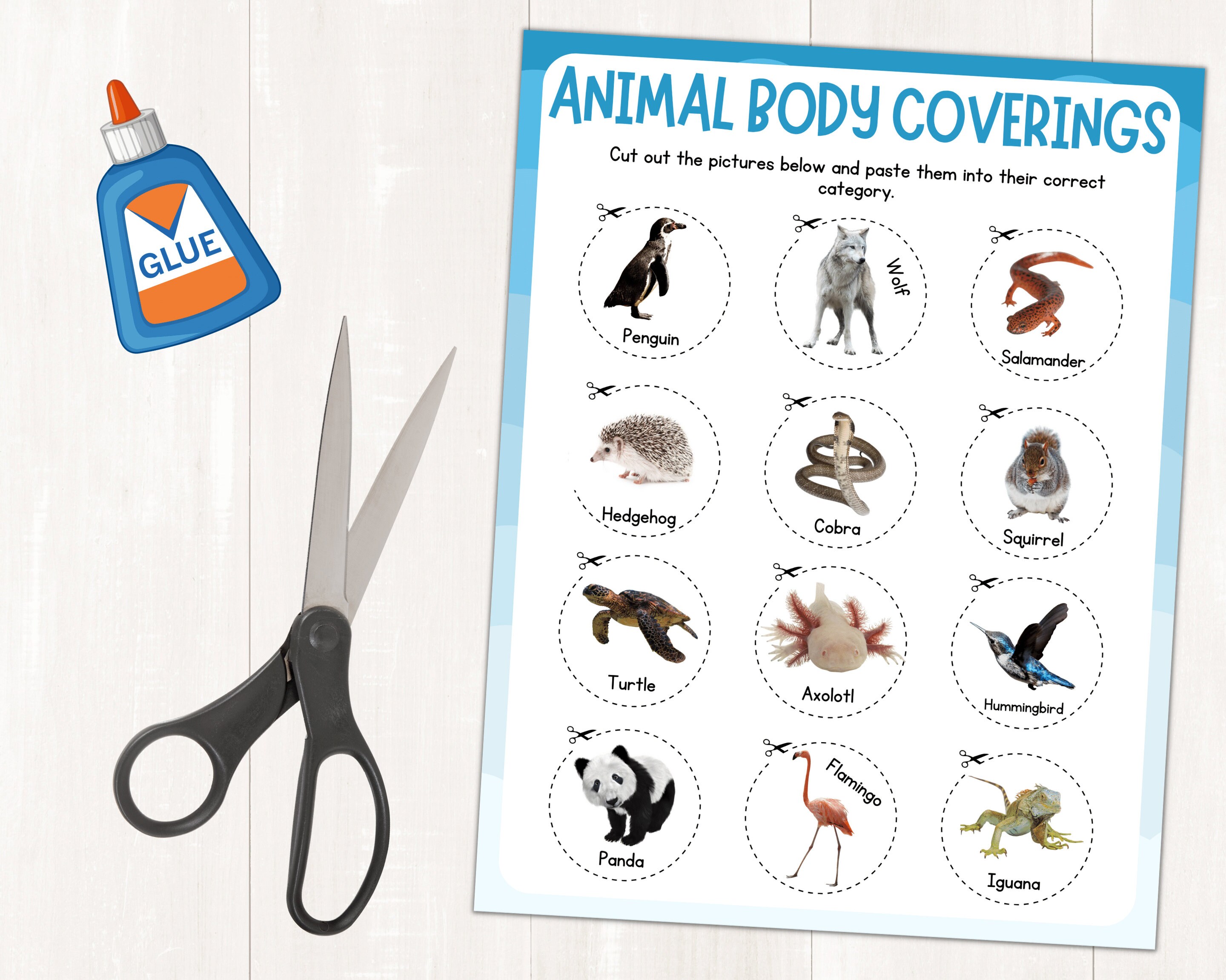 Animal Body Coverings Sorting Activity | Scales, Feathers, Fur, and ...