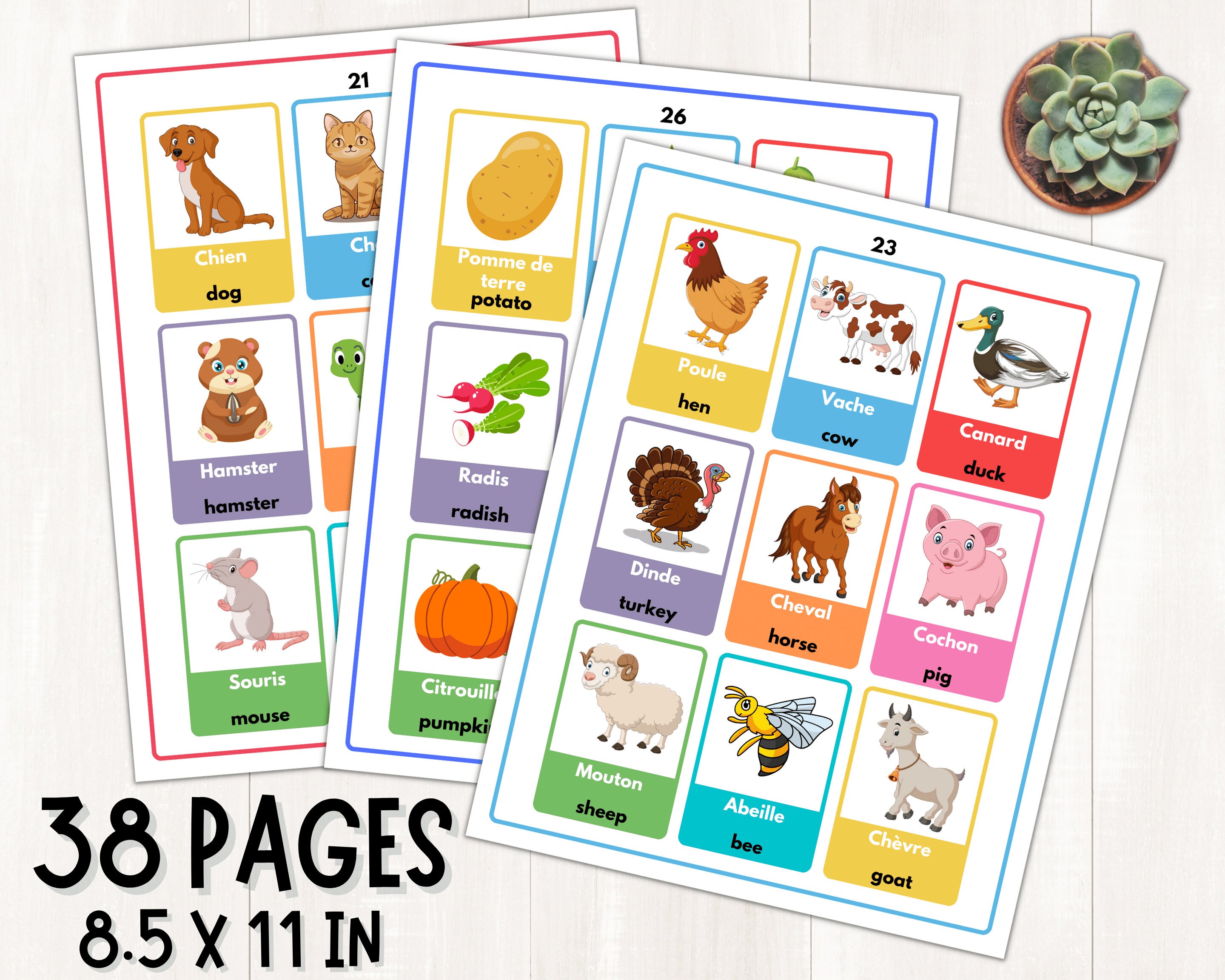 Printable French-english Picture Dictionary | My First 200 French Words ...