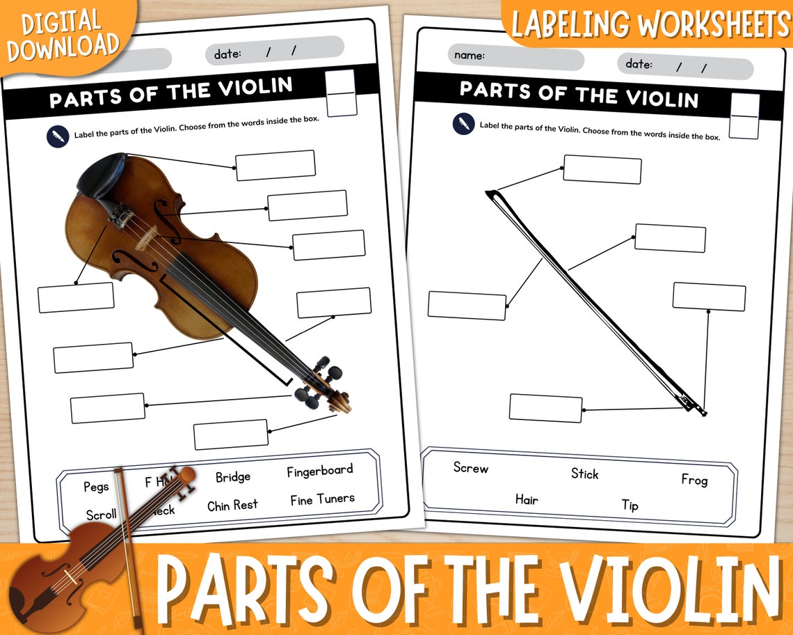 Printable Parts of the Violin Labeling Worksheets, With Answer Keys ...