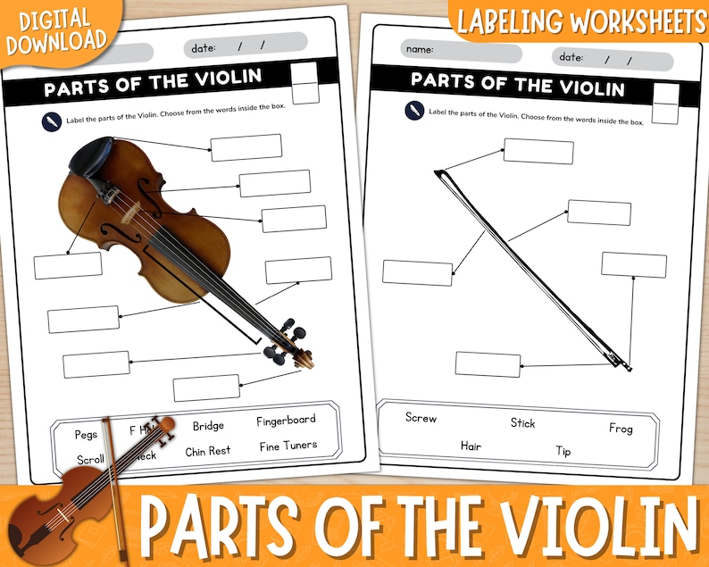 Printable Parts of the Violin Labeling Worksheets, With Answer Keys ...