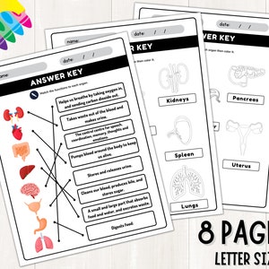 Human Body Organs Worksheets | Human Body Anatomy for Kids | Printable ...