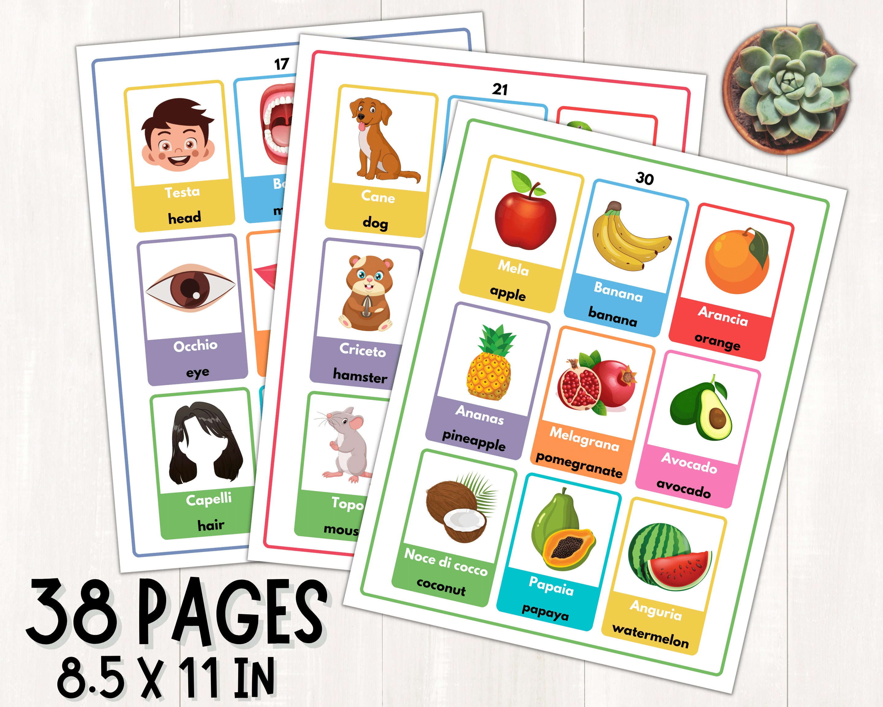 Printable Italian-english Picture Dictionary | My First 200 Italian ...