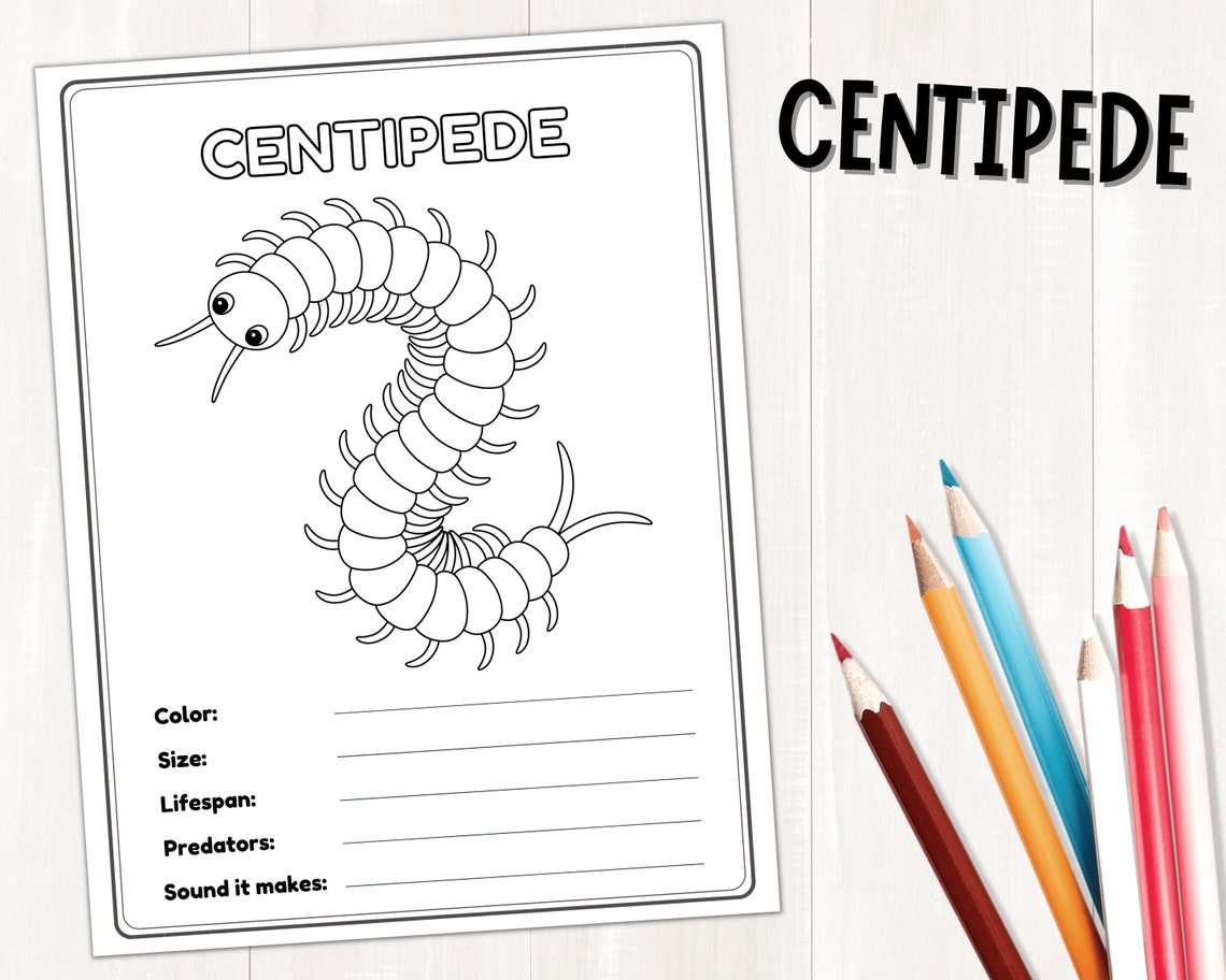 Printable Insects Coloring Pages for Kids, Insects Research Activity ...