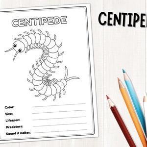 Printable Insects Coloring Pages for Kids, Insects Research Activity ...