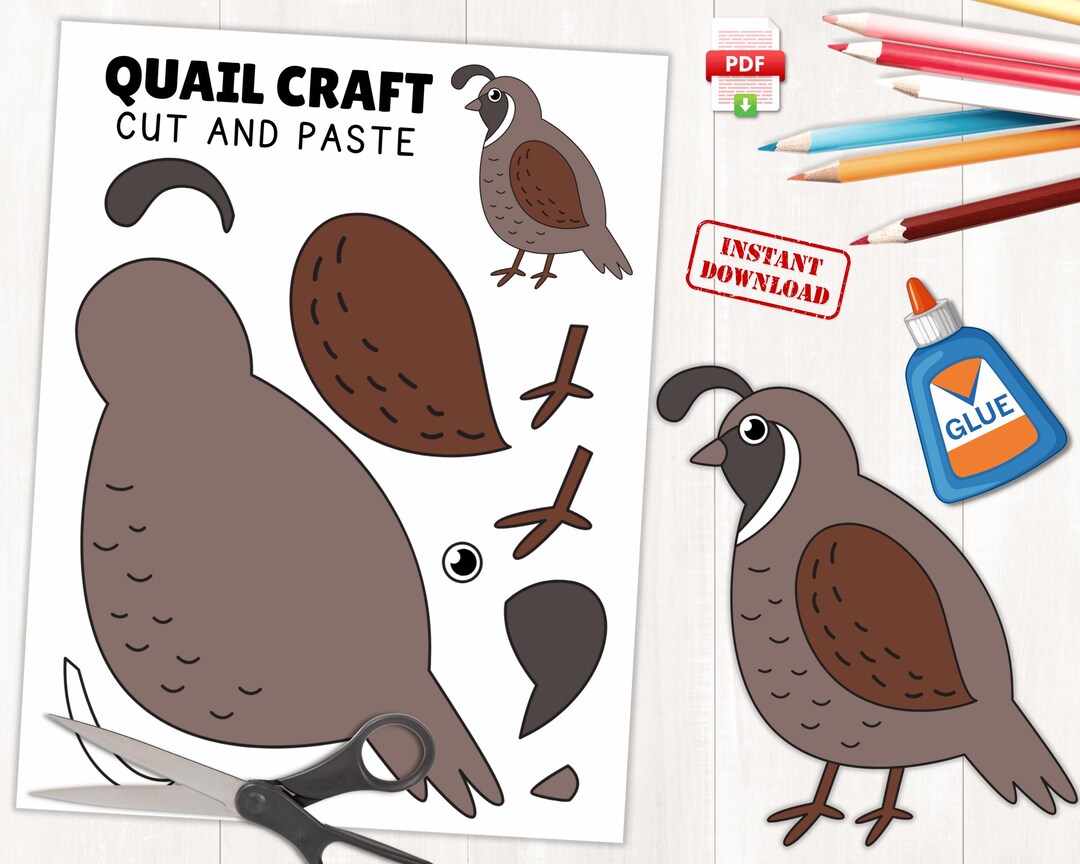 Printable Quail Craft Template | Build a Bird Craft | Color, Cut, and ...