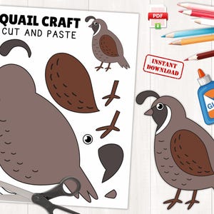 Printable Quail Craft Template | Build a Bird Craft | Color, Cut, and Paste | Quail Paper Craft ...