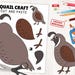 Printable Quail Craft Template | Build a Bird Craft | Color, Cut, and ...