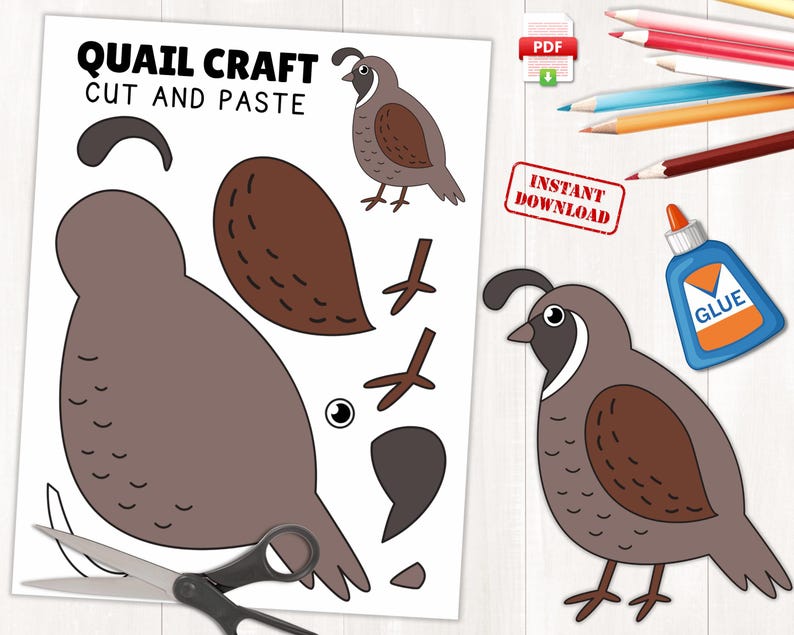 Printable Quail Craft Template | Build a Bird Craft | Color, Cut, and ...