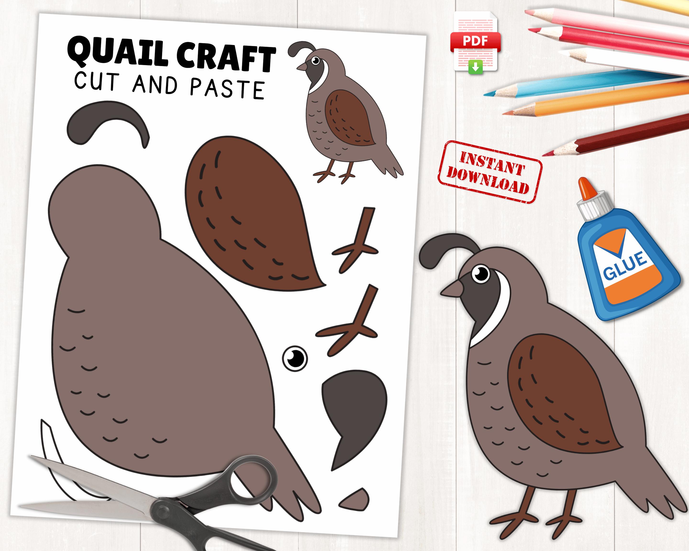 Printable Quail Craft Template | Build a Bird Craft | Color, Cut, and ...