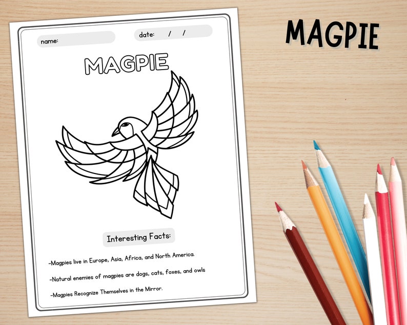 Printable Birds Coloring Pages With Interesting Facts Flying - Etsy