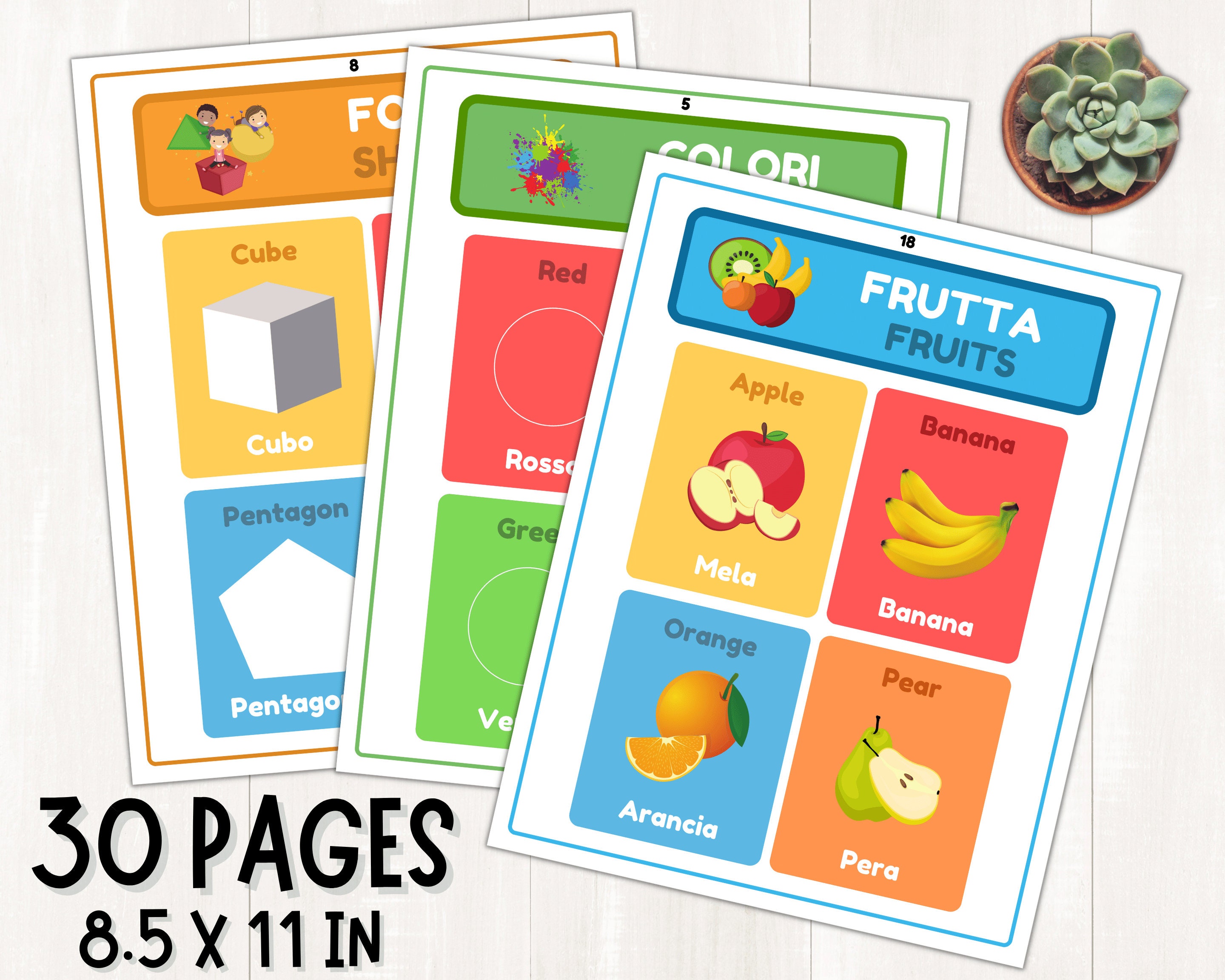 My First 100 Italian Words Printable Italian-english Picture Dictionary ...