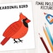 Printable Cardinal Craft for Kids: Winter Bird Coloring Page (PDF ...