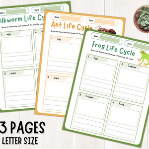 Printable Animal Life Cycle Research Project Templates, Animal Research ...