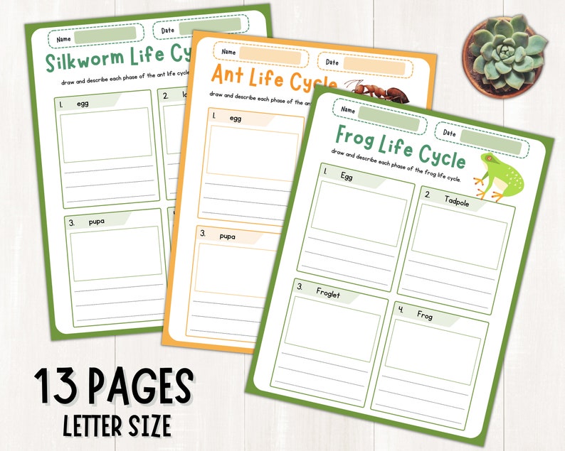 Printable Animal Life Cycle Research Project Templates, Animal Research ...