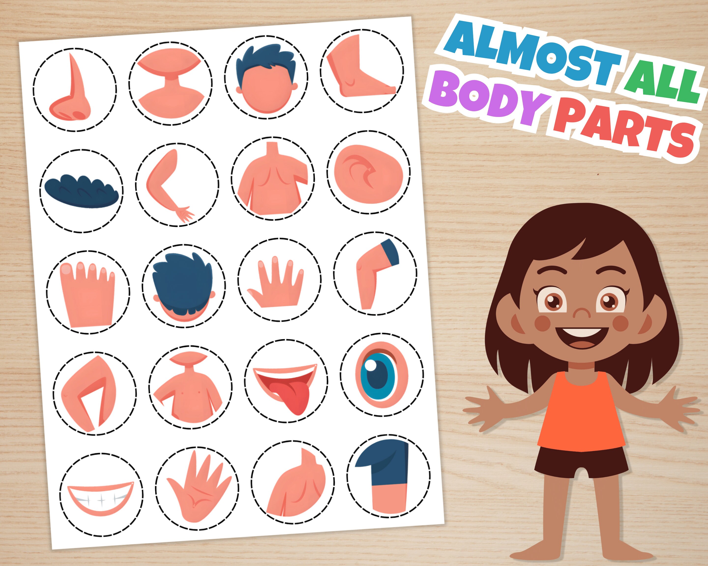 Body Parts Matching Activity | Preschool Activity | Parts of the Body ...