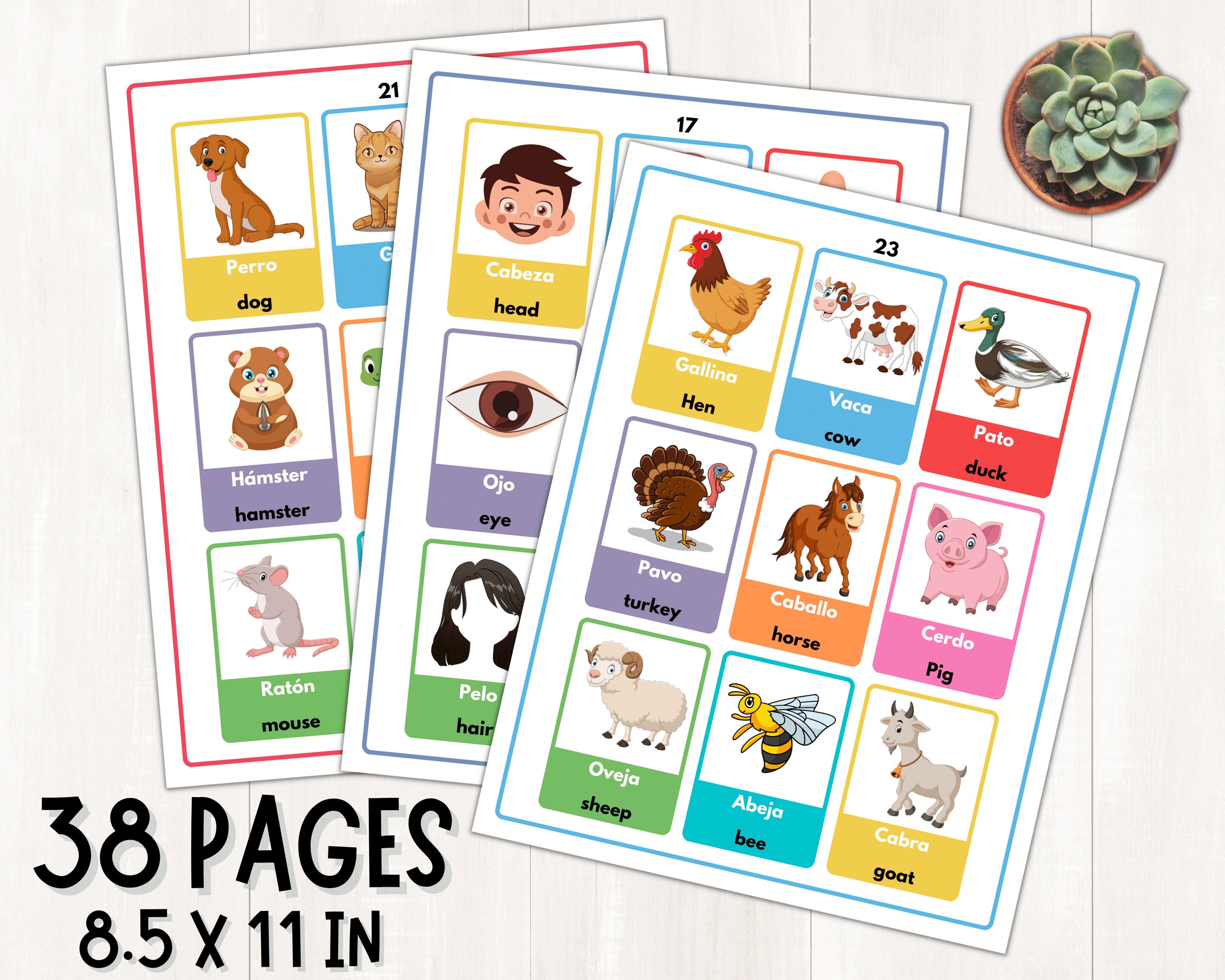 Printable Spanish-english Picture Dictionary My First 200 Spanish Words ...