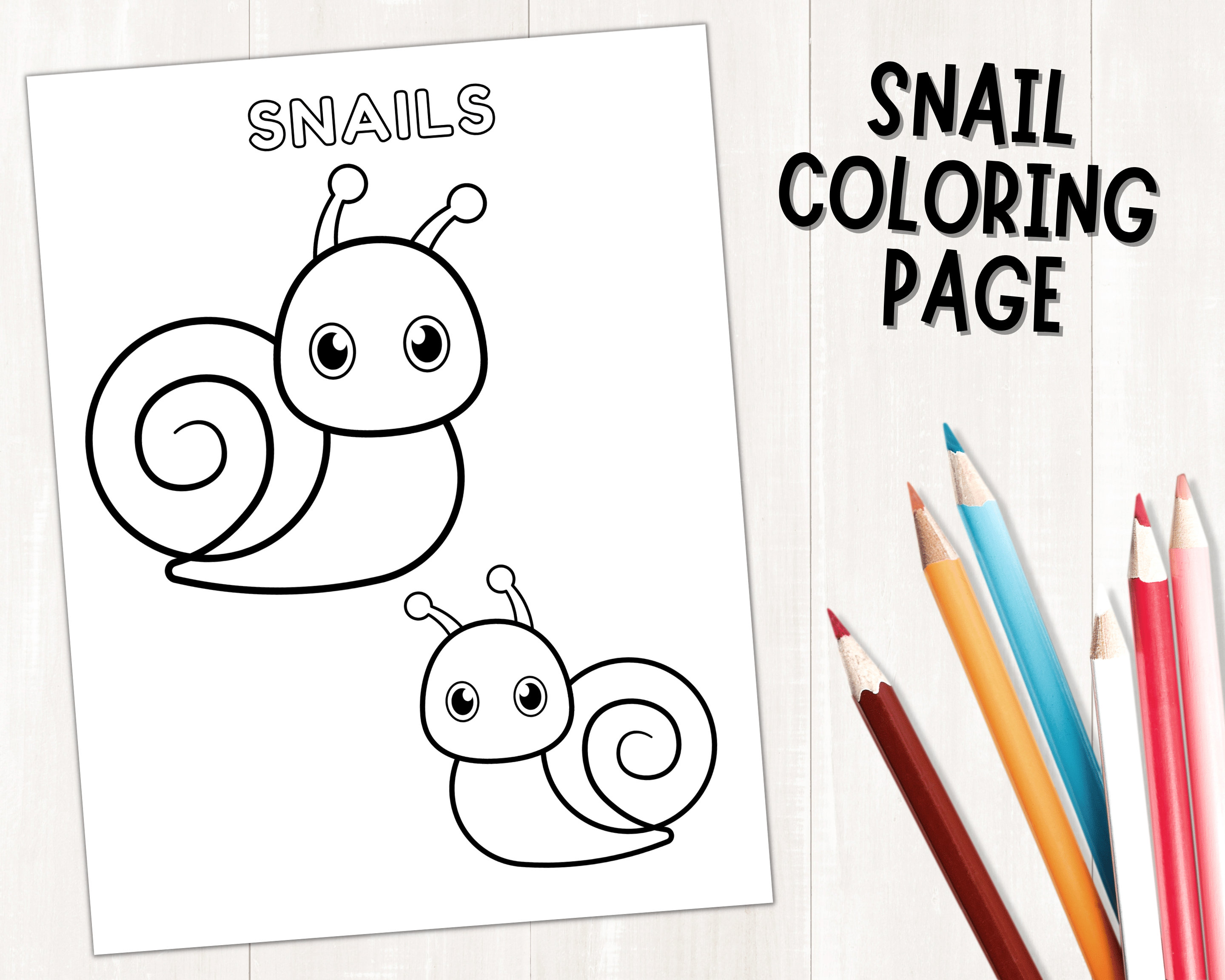 Printable Snail Craft for Kids Spring Activities Build a Snail Indoor ...