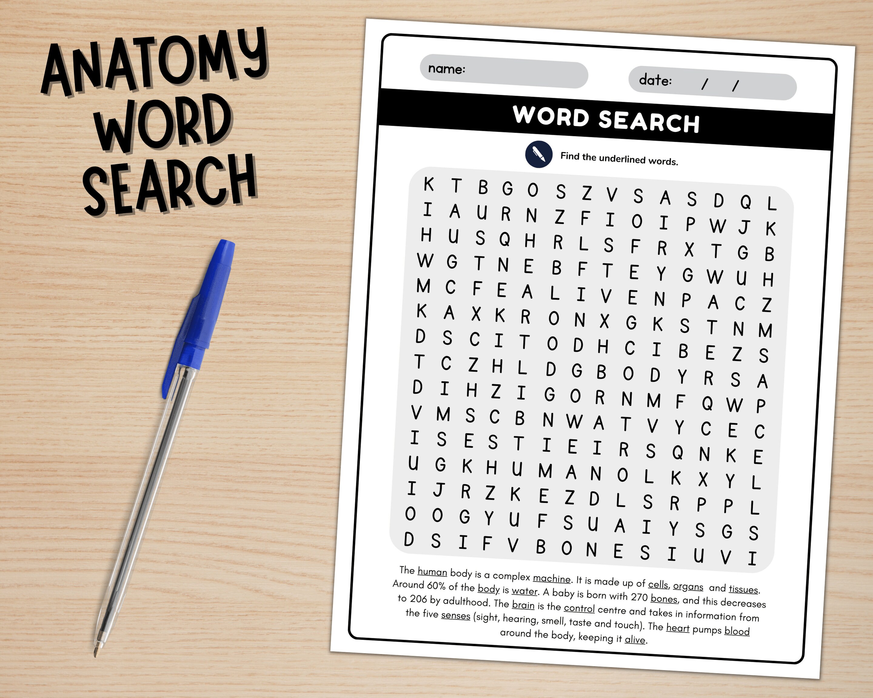 Parts of the Ear Diagram Worksheet | Anatomy of the Ear | Ear Anatomy ...