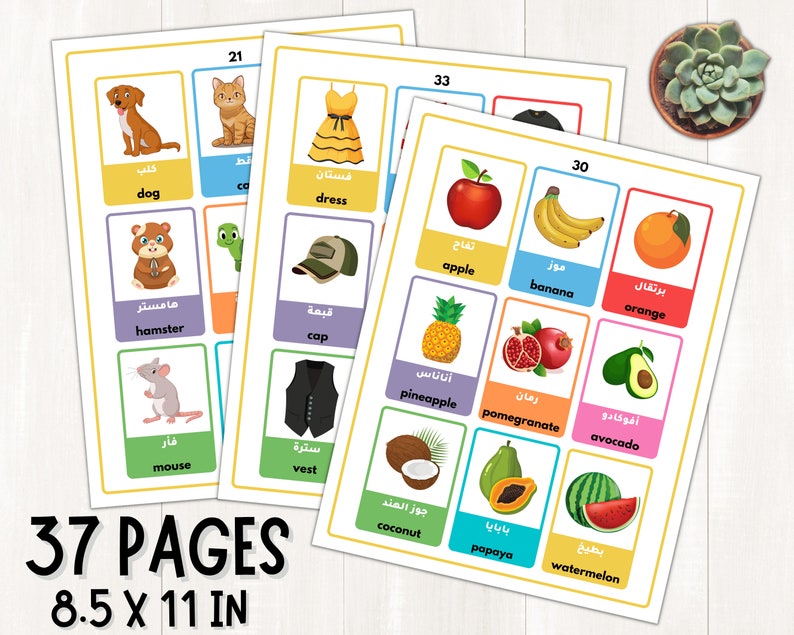 Printable Arabic-english Picture Dictionary My First 200 Arabic Words ...