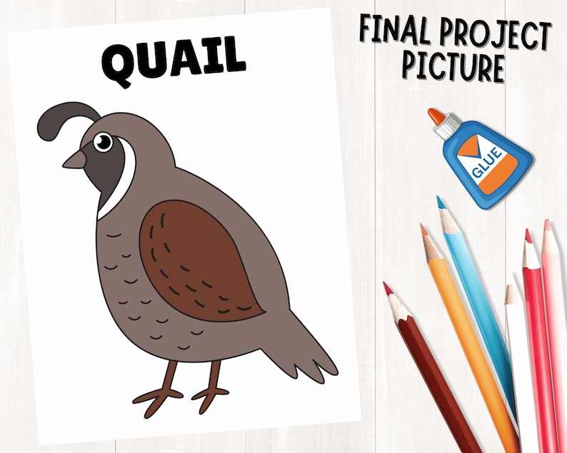 Printable Quail Craft Template | Build a Bird Craft | Color, Cut, and ...