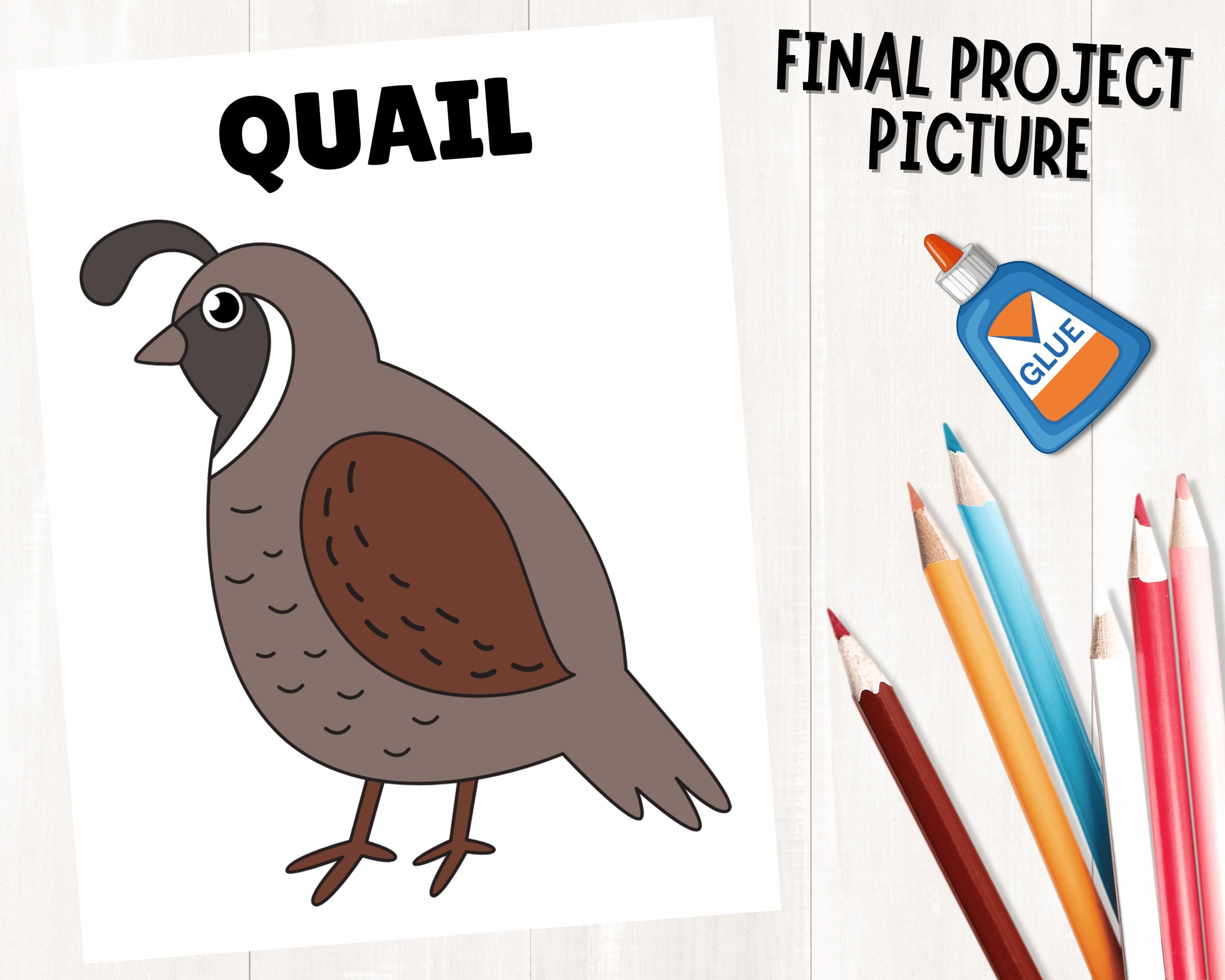 Printable Quail Craft Template | Build a Bird Craft | Color, Cut, and ...