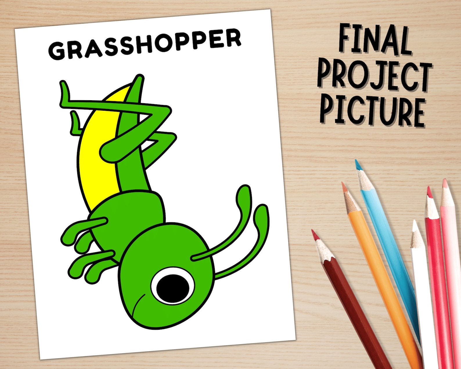 Grasshopper Craft | Printable Template | Insect Craft Activity ...