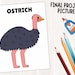 Printable Ostrich Craft Template for Kids | African Animal Activity ...