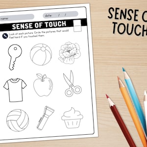 My Five Senses Activities Worksheets, 5 Senses Coloring Sheets ...