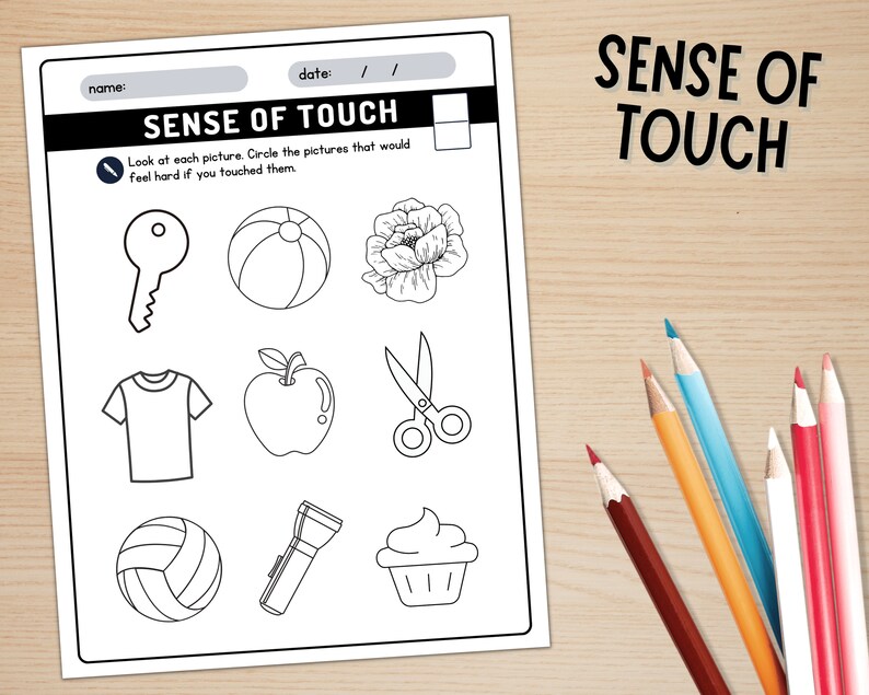 My Five Senses Activities Worksheets, 5 Senses Coloring Sheets ...