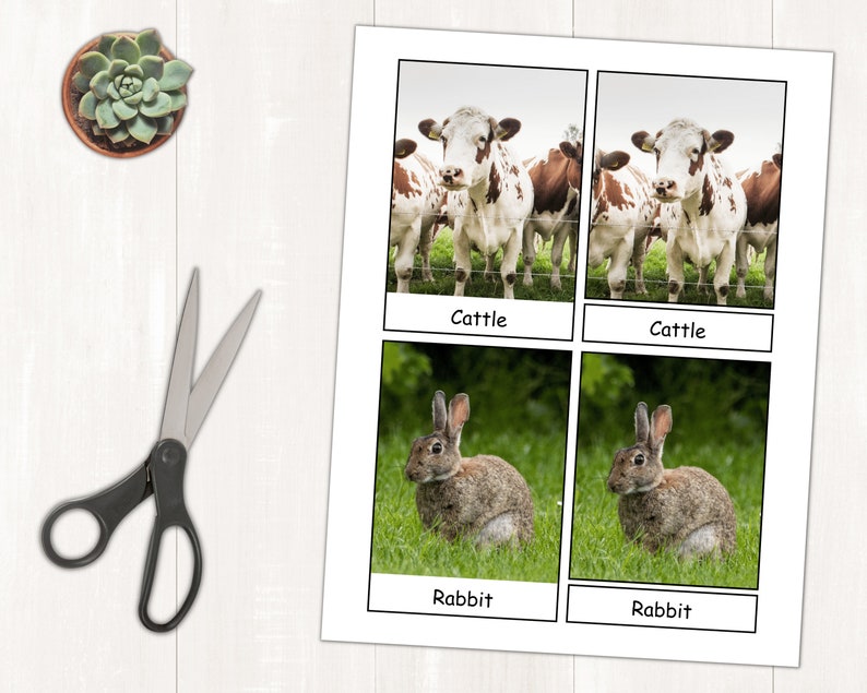 Farm Animals Montessori 3-part Cards | Farm Animal Flashcards With Real ...