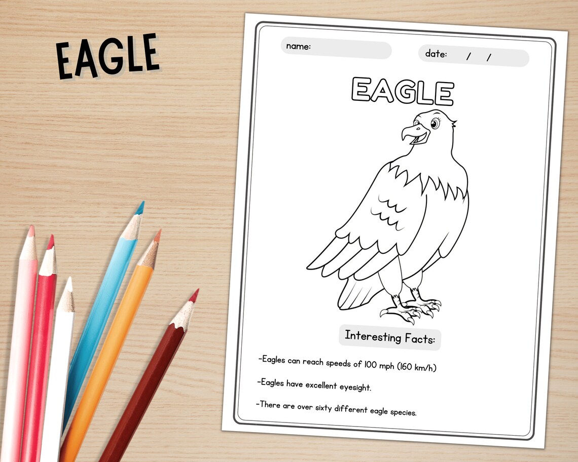 Printable Birds Coloring Pages With Interesting Facts, Flying Animals ...