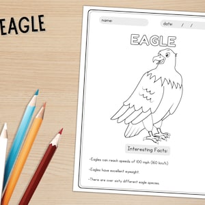 Printable Birds Coloring Pages With Interesting Facts, Flying Animals ...