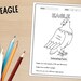 Printable Birds Coloring Pages With Interesting Facts, Flying Animals ...
