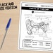 Parts of the Ear Diagram Worksheet | Anatomy of the Ear | Ear Anatomy ...