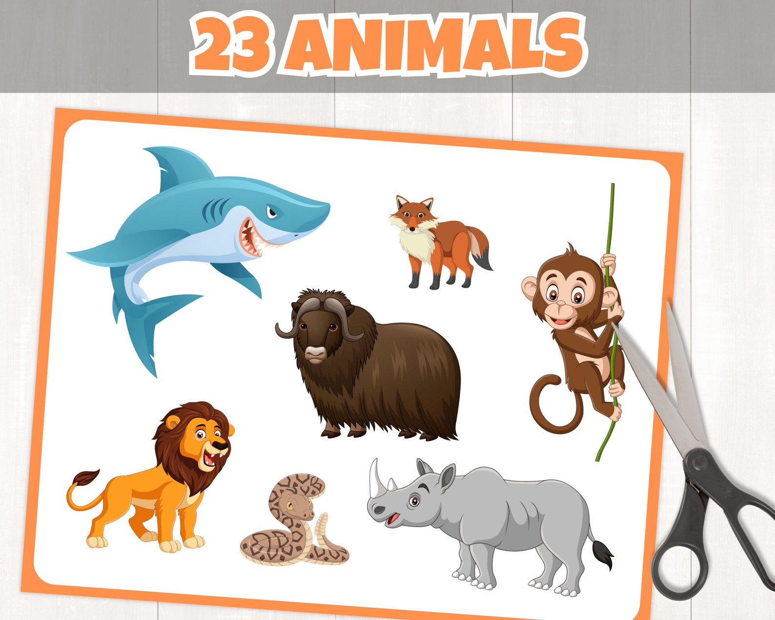 Animal Habitats Matching Activity | Animals and Their Habitats Matching ...