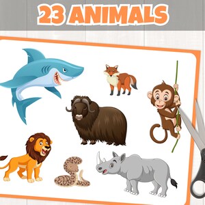 Animal Habitats Matching Activity | Animals and Their Habitats Matching ...