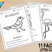 Printable Birds Coloring Pages With Interesting Facts, Flying Animals ...